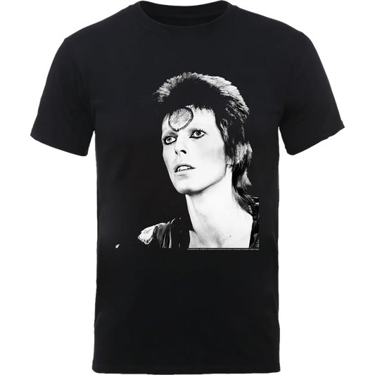 New Arrivals – Page 2 – David Bowie